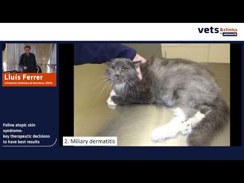 20. INT - Feline Atopic Syndrome