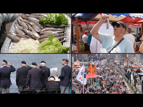 Revellers make a splash at Netherlands raw herring festival | AFP