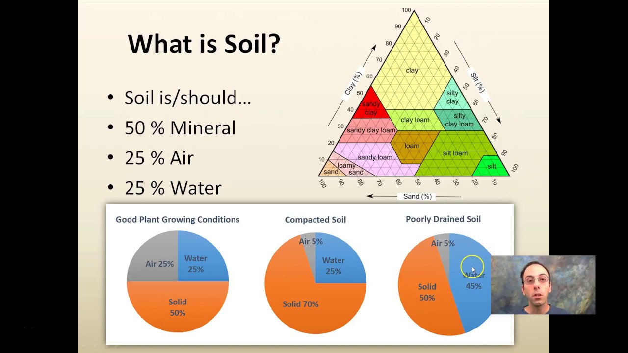 Soil Quality