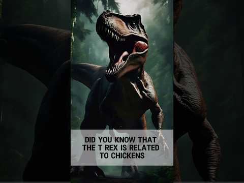 T Rex related to chickens ? #trex #chicken #facts