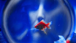 Tempesst - Sad Eyes Text - SongTextes.de