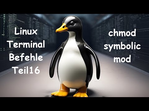 Linux Terminal Kurs Teil 16 - chmod (symbolic) / Datei Berechtigungen