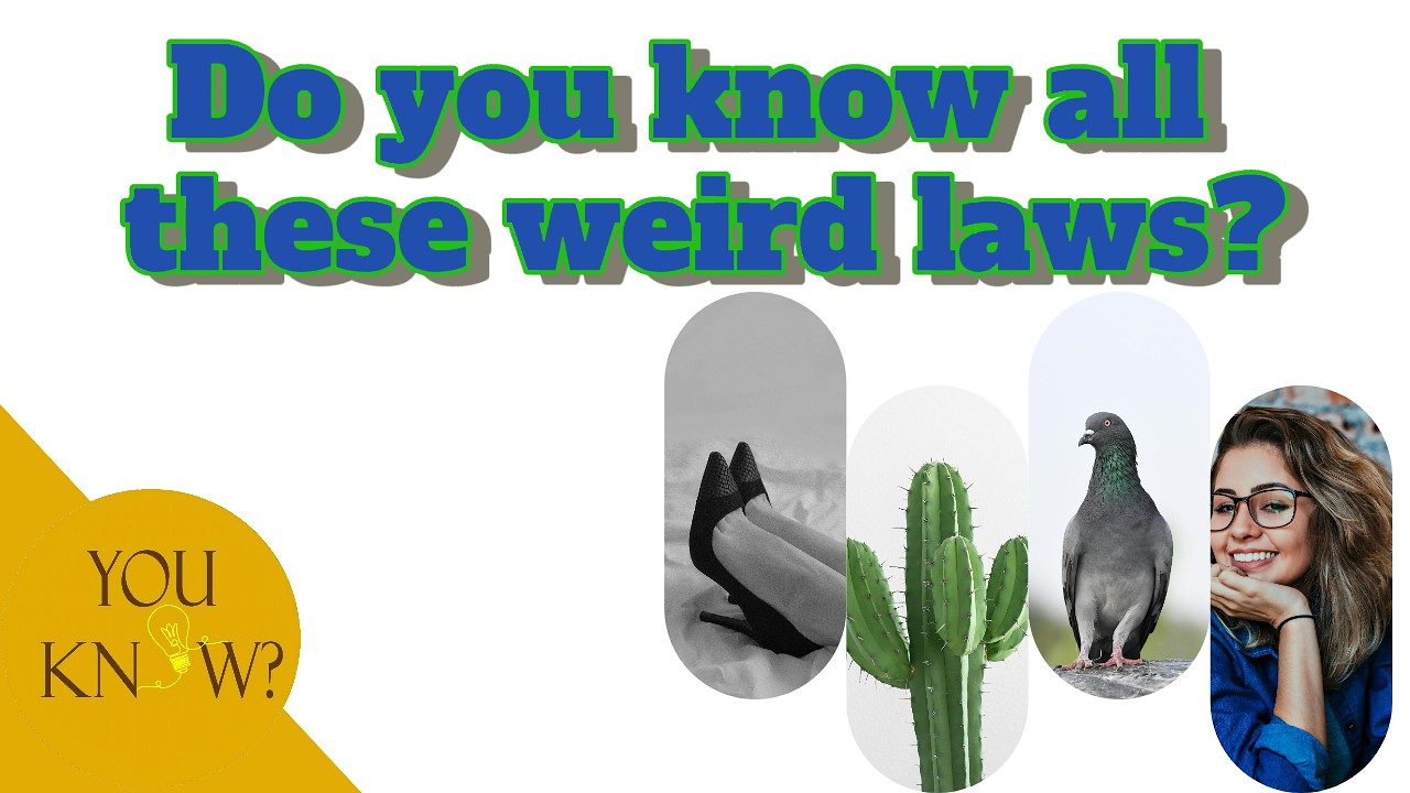 Weird Laws Quiz! How Many Can You Get Right? 🧠⚖️