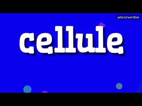 CELLULE - HOW TO PRONOUNCE IT!?