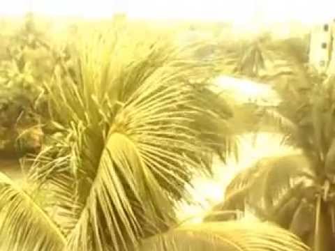 Gusty Wind