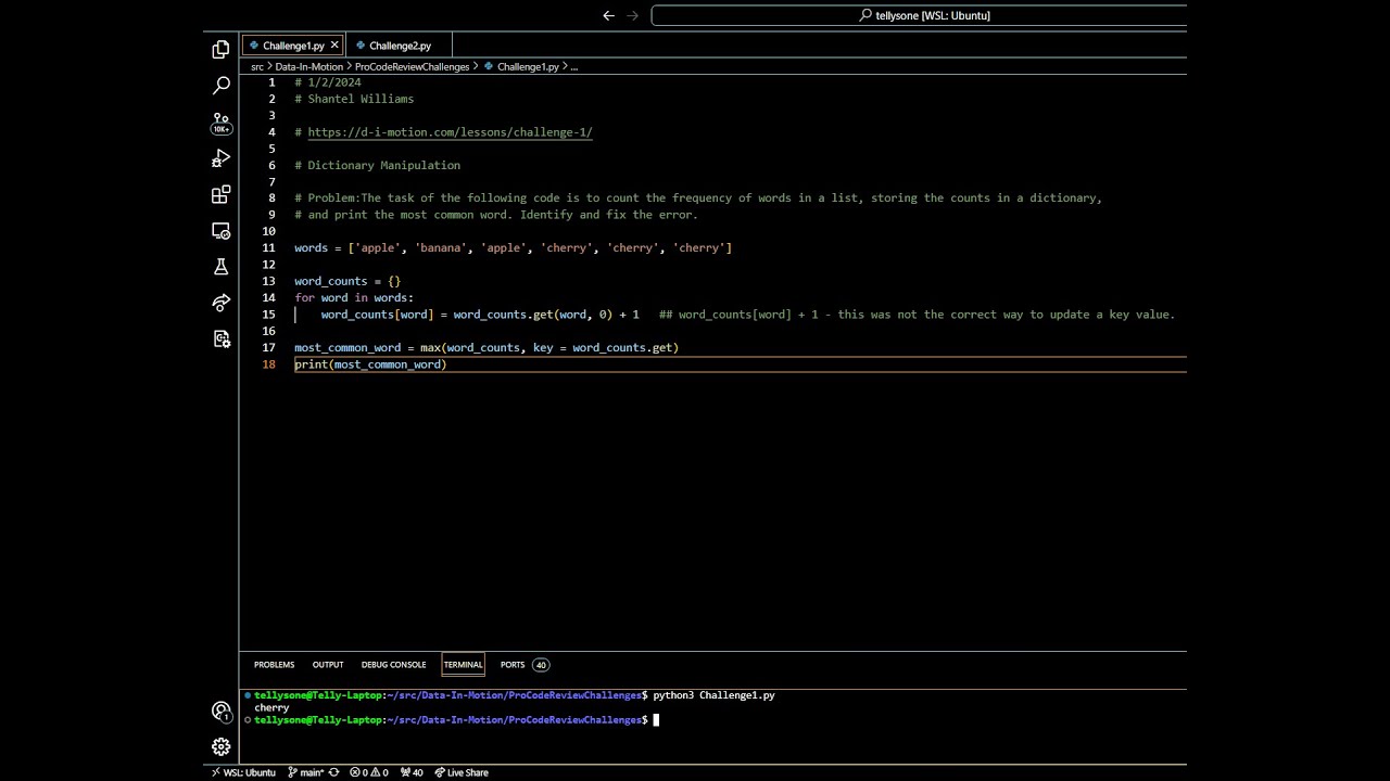Python Code Review Challenge 2: Fix the Error