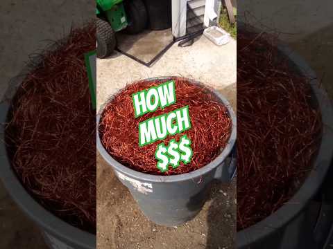 How Much $$$ Fer 44 Gallon Trash Bucket Of Copper? #scrap #scrapmetal #scrapmetalrecycling #shorts
