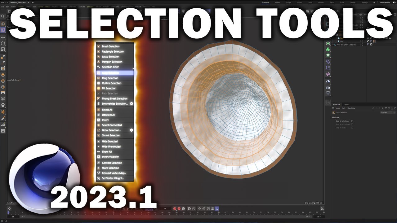 Cinema 4d 2023.1: Selection tools