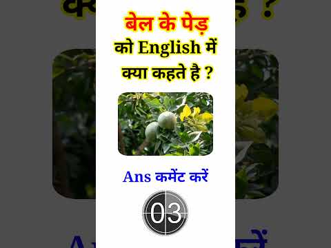 बेल के पेड़ को इंग्लिश में क्या कहते #gkquiz | Bel / Bael ke ped ko english me kya kahte hain
