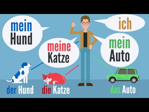 Deutsch lernen - Possessivpronomen