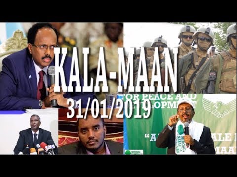 KALAMAAN 31 JANUARY 2019