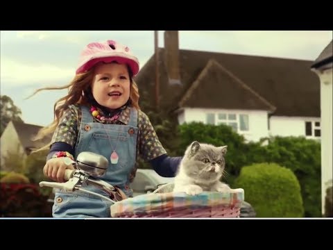 Best Cat Commercials Ever Sing It Kitty – Nostalgix