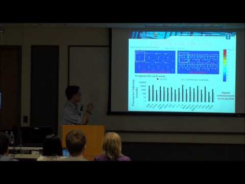 Photonic Crystal Enhanced Fluorescence Imaging