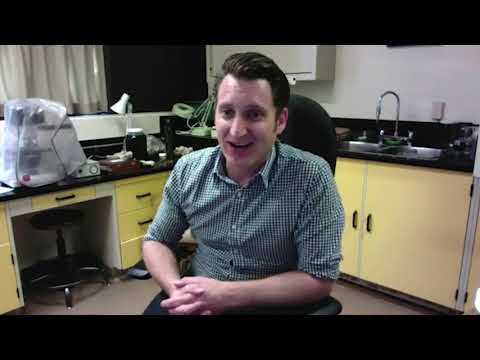 Leeches and Evolution