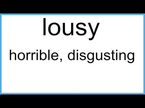 lousy      The New English Dictionary meaning | Vocabulary for Kids | Children's Dictionary