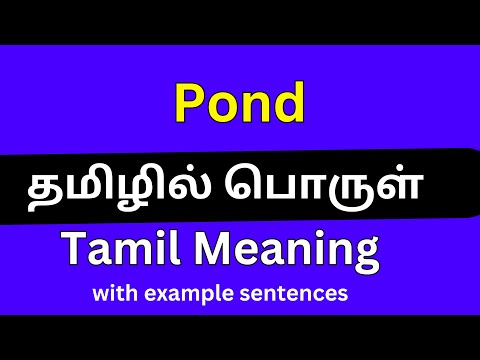 Pond meaning in Tamil/ Pond தமிழில் பொருள்
