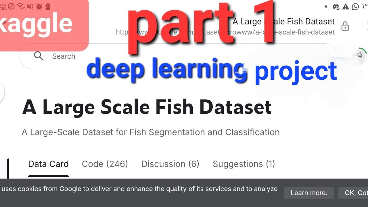 Large Scale Fish Classification kaggle - part 1