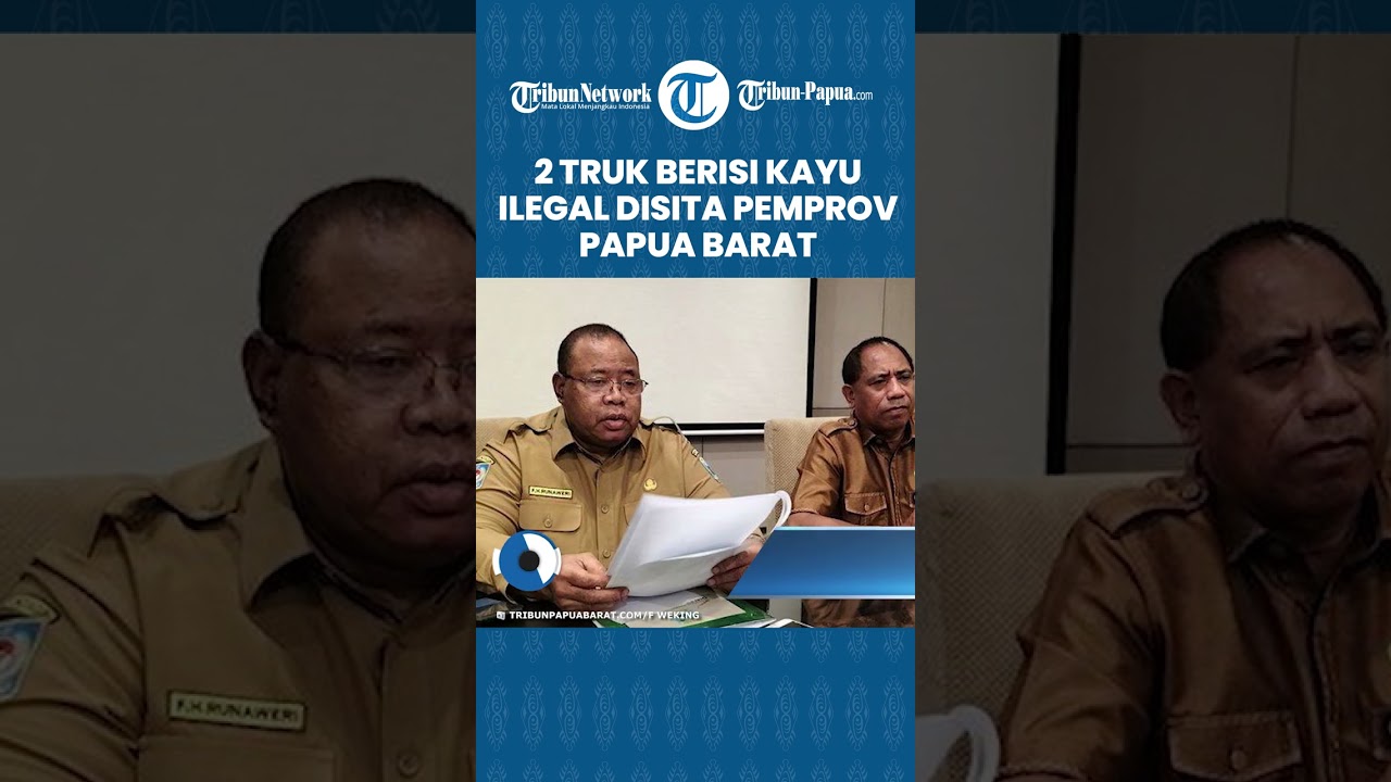 Pembalakan Hutan di Papua Barat, 2 Truk Berisi Kayu Ilegal Disita Dinas ... Pembalakan Hutan di Papua Barat, 2 Truk Berisi Kayu Ilegal Disita Dinas ...