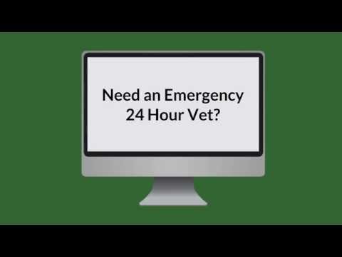Emergency Vet Edmonton - 24 Hour Veterinary Clinic