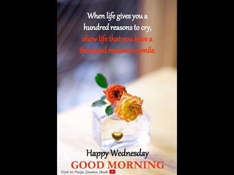 WEDNESDAY QUOTES /GOOD MORNING IMAGES /WHATSAPP STATUS/WHATSAPP DP PHOTOS/BEAUTIFUL IMAGES