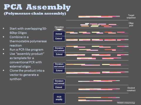 Gene Synthesis