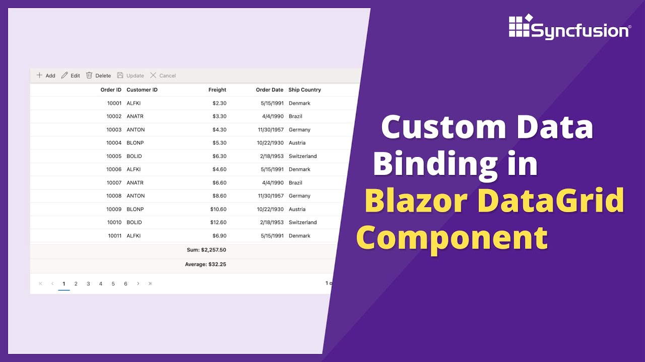 Blazor DataGrid: Custom Data Binding with Paging, Filtering, and CRUD