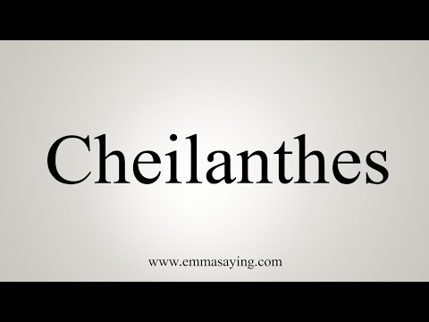 How To Say Cheilanthes