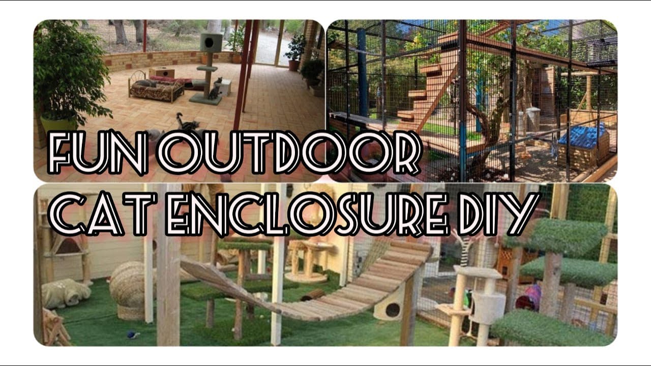 BEST DIY Catio & Outdoor Cat Enclosure Designs You Can Build Today | Spectacular Cute Pets Bonding