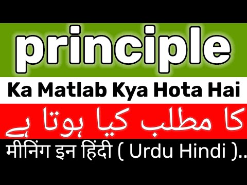 Principle Meaning | Principle Meaning In Urdu | Principle Ka Matlab Kya Hai | Principle Ka Meaning