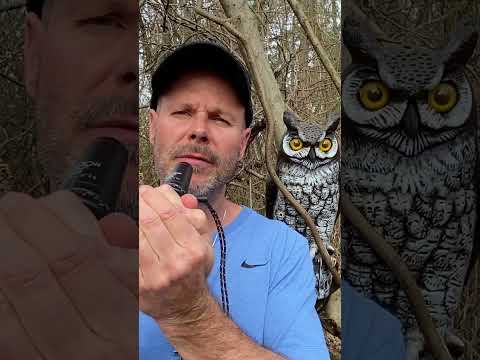 Learn How To Use An Owl Call - Quick & Simple!