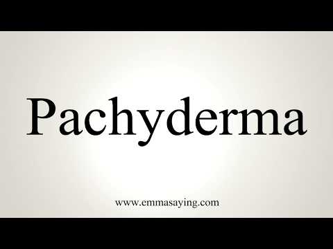 How To Pronounce Pachyderma