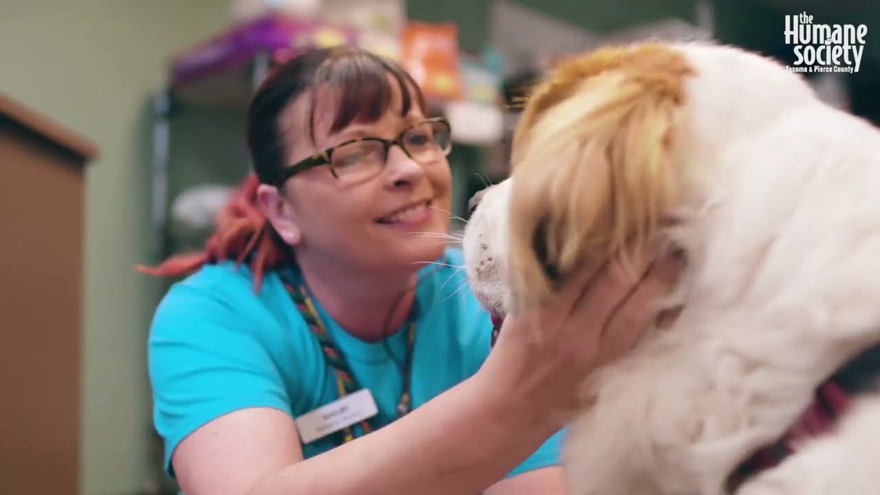 Careers at the Humane Society for Tacoma & Pierce County