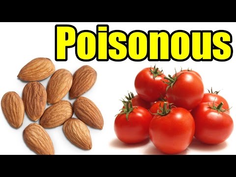 10 Food Products That Are Poisoned