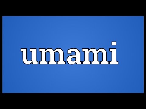 Umami Meaning