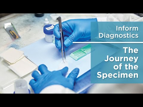 The Journey of the Specimen - Inform Diagnostics, 2023