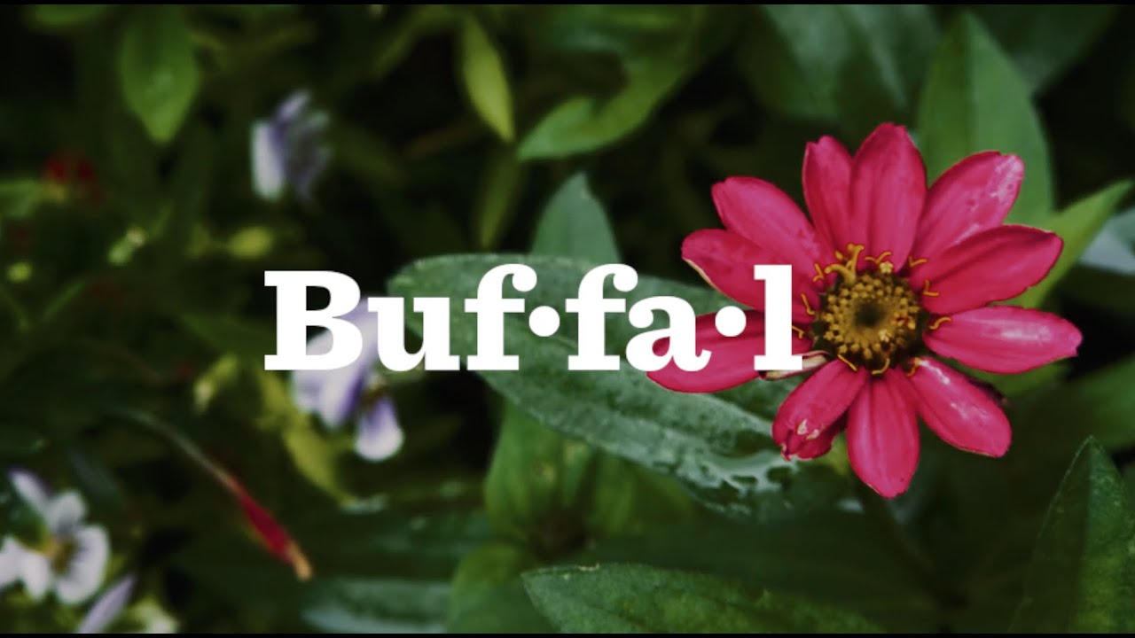 Gardens Buffalo Niagara Tourism Video