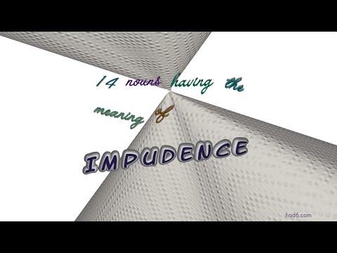 impudence - 15 nouns which mean impudence (sentence examples)