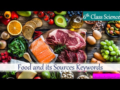 Food and its Sources || Keywords || 6th Class Science || Science Dictionary || Definition || Grade 6