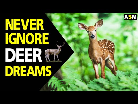 What does Deer dream meaning | Dreaming of deer | Deer dream interpretation