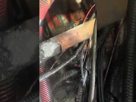 8.3 L Cummins Crank Sensor