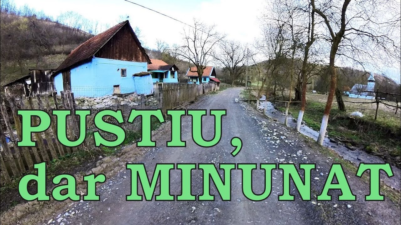 (VIDEO) Sat pitoresc din Hunedoara, cu zeci de case pustii. Doar câțiva ...