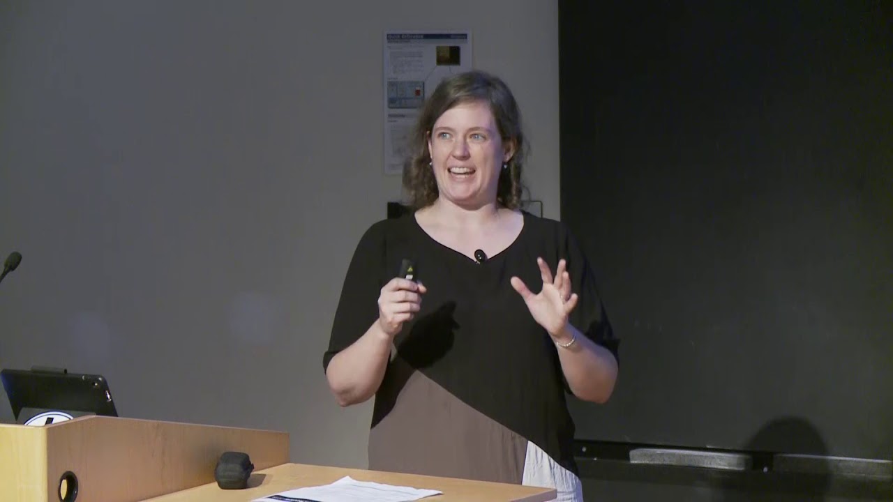 Explainable AI and Human Computer Interaction