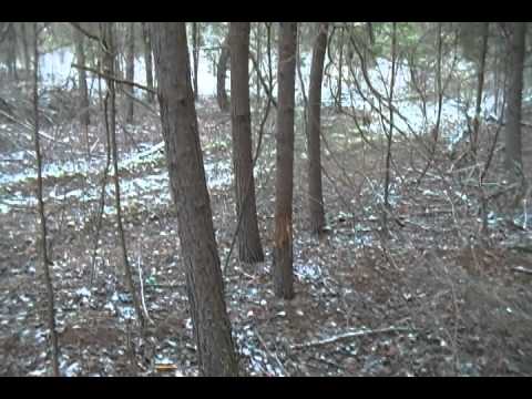 Merk Farms Hunting RWL1234 Lease