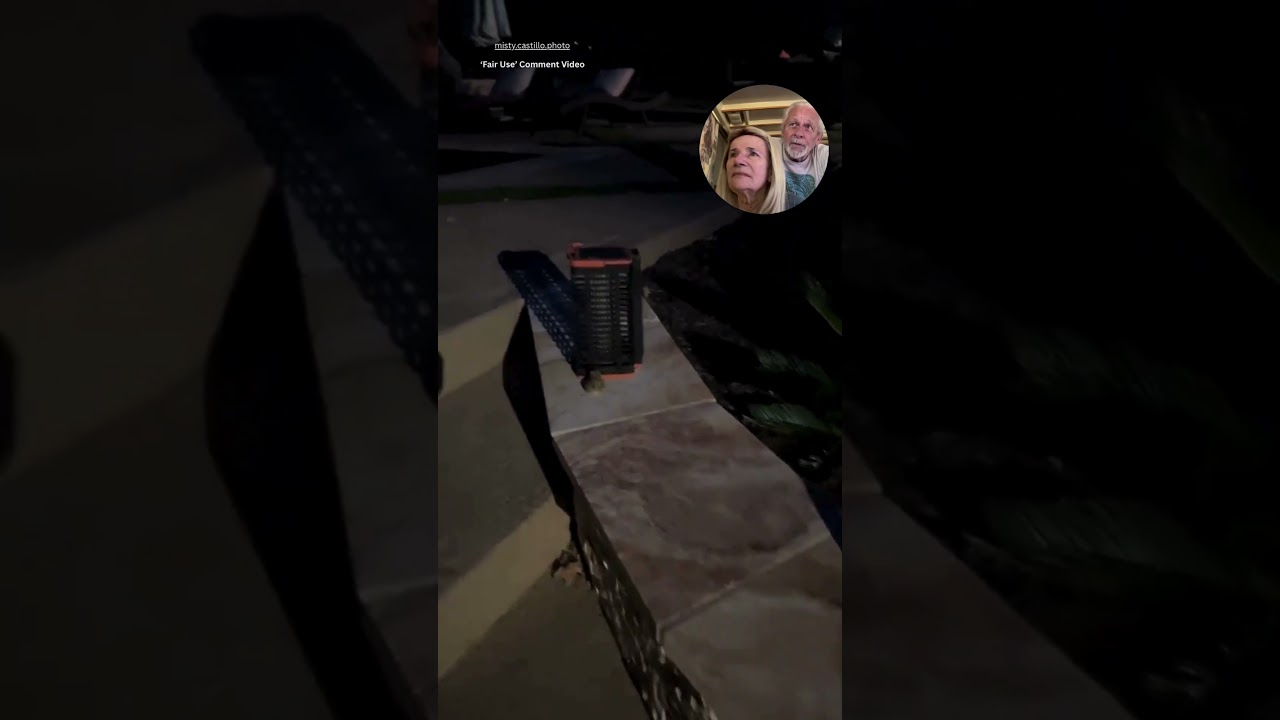 Free Loader Frog and The Bug Zapper