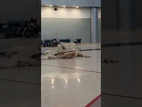 A Big WTF In Las Vegas Airport!