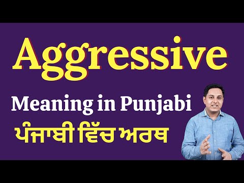 Aggressive meaning in Punjabi | Aggressive da matlab | English to Punjabi