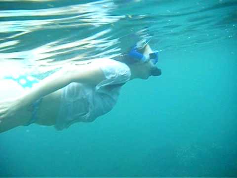 GalapagosOptions.com Tintorera shark Las Tintoreras