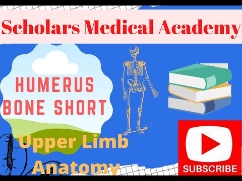 Humerus, Humerus Shorts, Humerus Anatomy: Bone Upper Limb