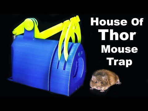 Mousetrap Monday – Shawn Woods | New Mousetrap Videos Every Week