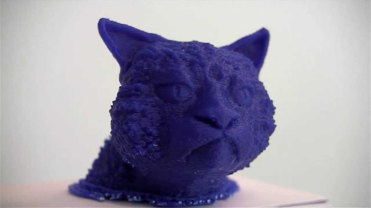 A 3D Printed Grumpy Cat